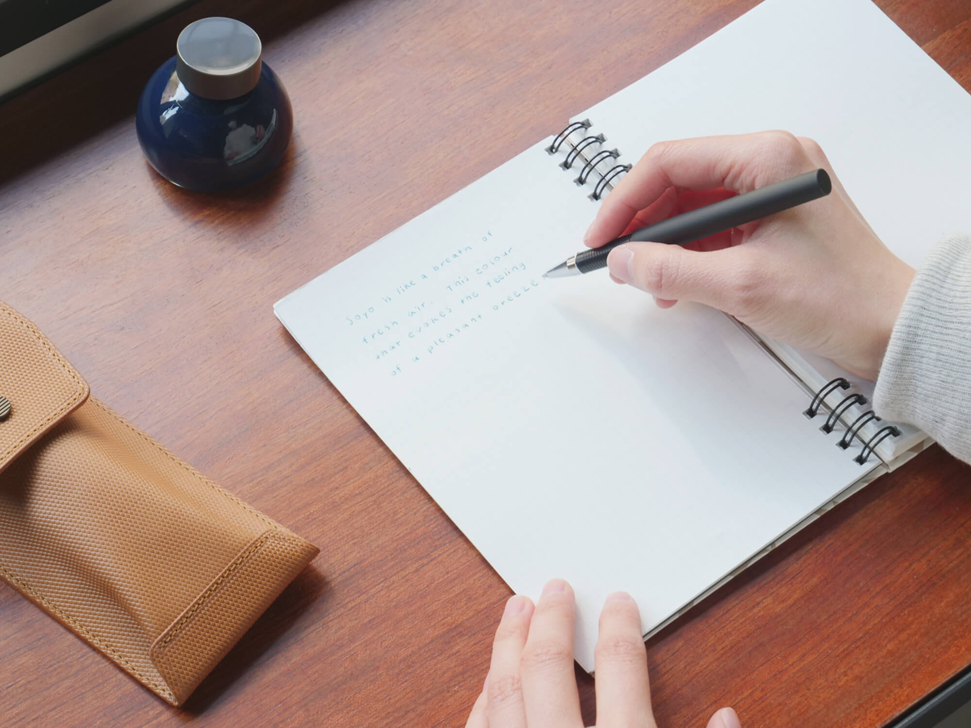 B6 notebook - Yoshiyuki Okada / ヒョウとシマウマとゴリラ – Kakimori